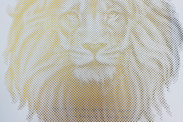 Microperforation - DELTA NEO